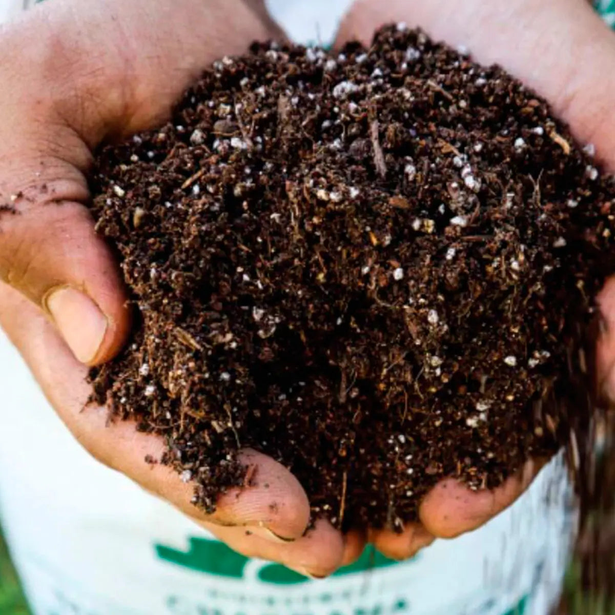 Sustrato Mulch – Plantavidachile