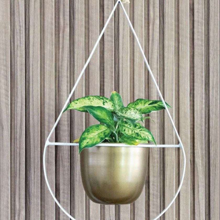 Macetero Colgante Gota – Plantavidachile