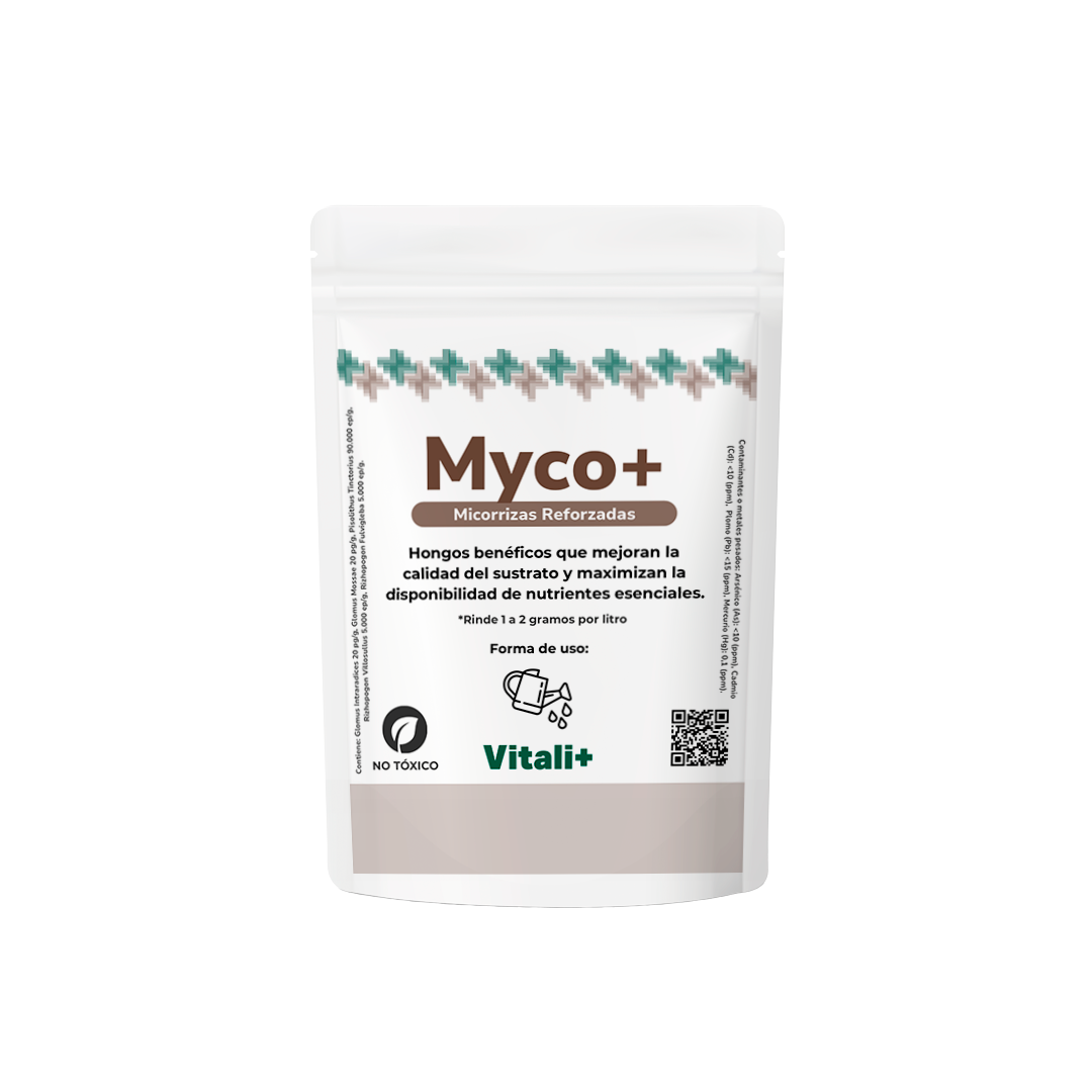 Myco+ – Plantavidachile